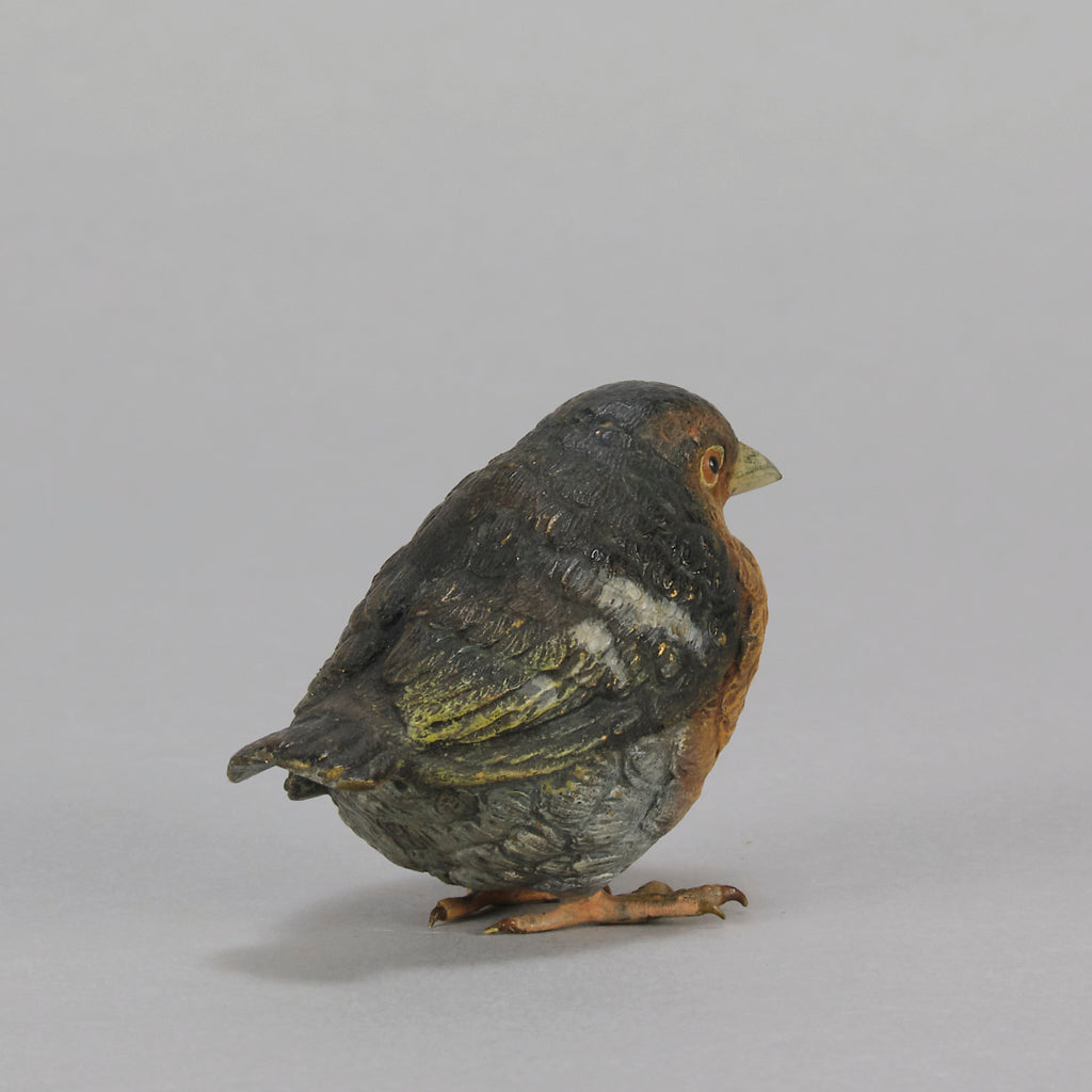 Bergman Robin - Austrian Cold Painted Bronze - Hickmet Fine Arts