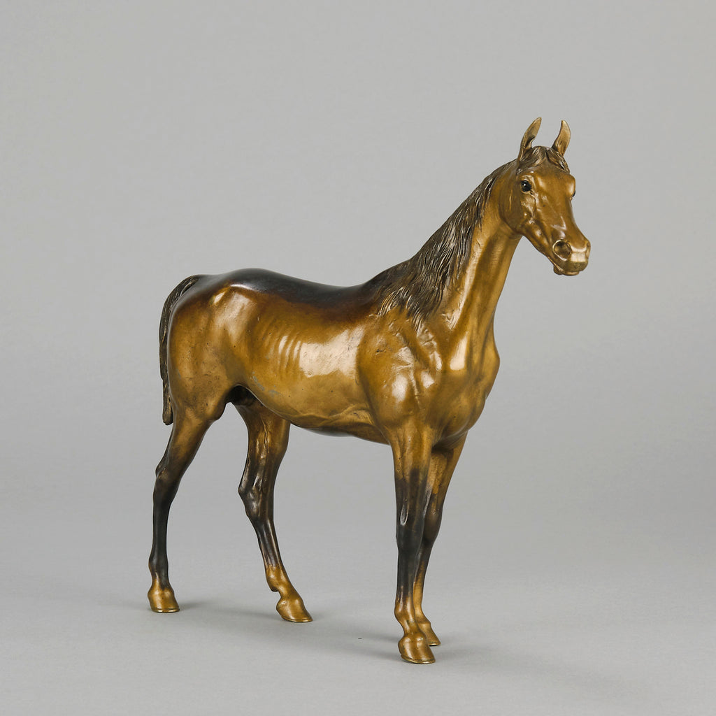 Stallion by Franz Bergman - Bronze Statues for Sale - Hickmet Fine Arts