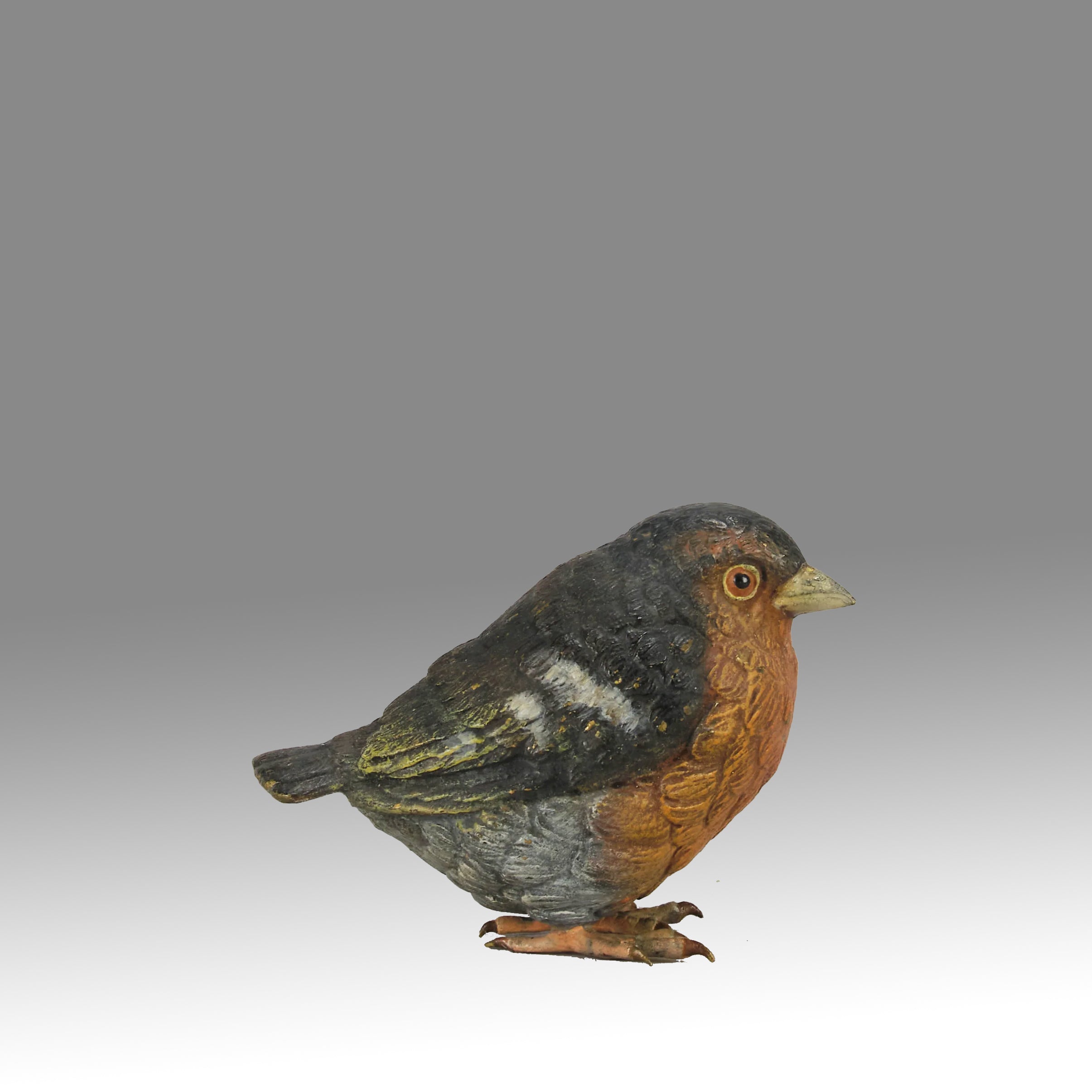 Bergman Robin - Austrian Cold Painted Bronze - Hickmet Fine Arts