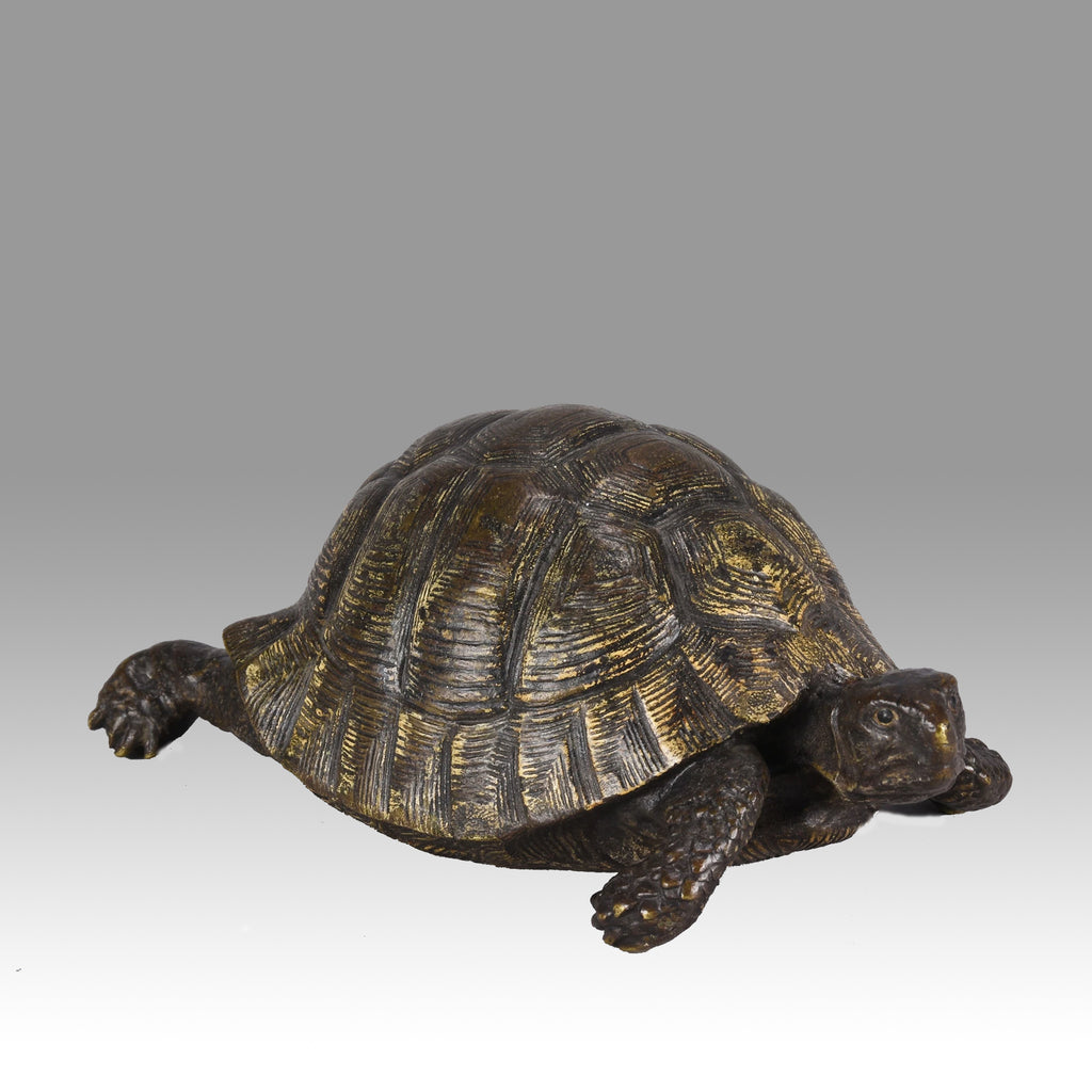 Bergman Tortoise - Franz Bergman Bronze - Hickmet Fine Arts